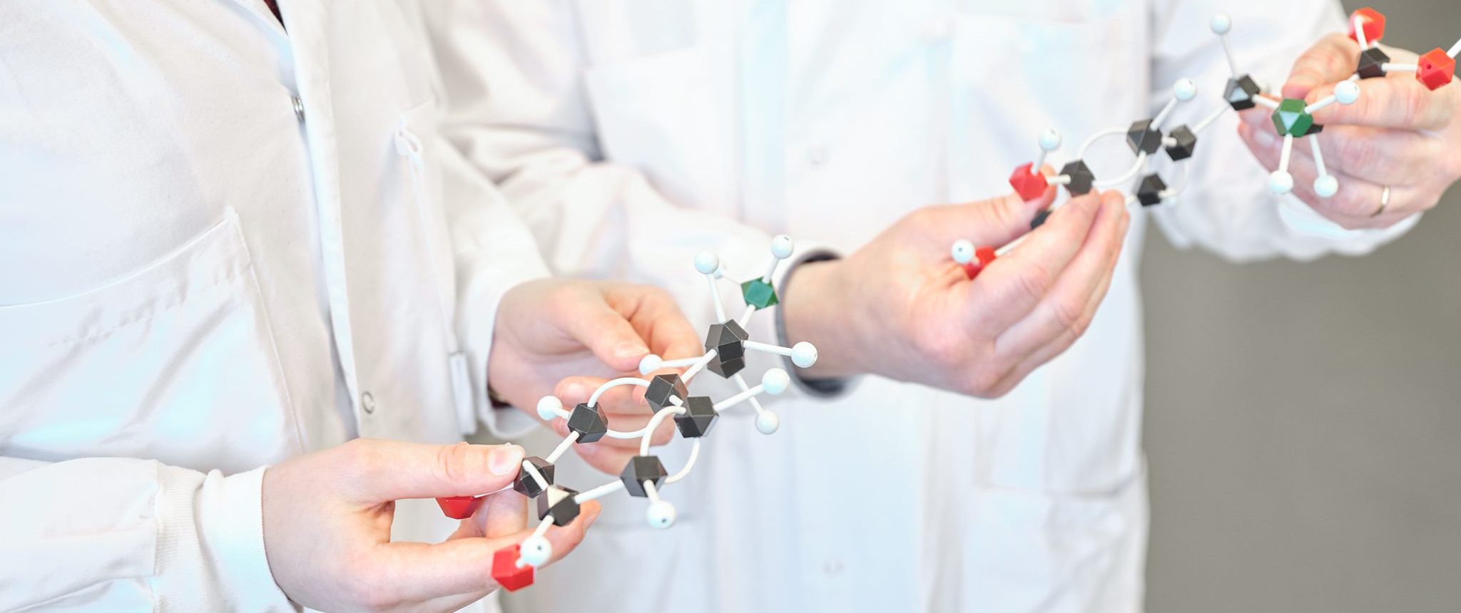 Therapeutic focus - IRLAB